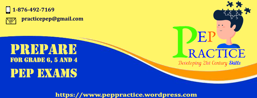 PEP Practice Focus Booklets’ Answer Keys – PEP