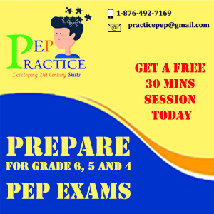 PEP Practice Focus Booklets’ Answer Keys – PEP