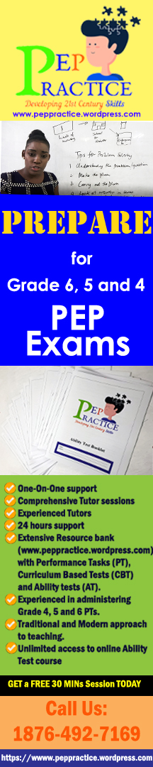 PEP – Developing 21st century skills